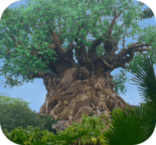 Summer Camp - O2B Kids